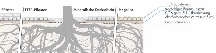 TTE® als Wurzelschutz für Bestandsbäume oder als überbaubarer ...